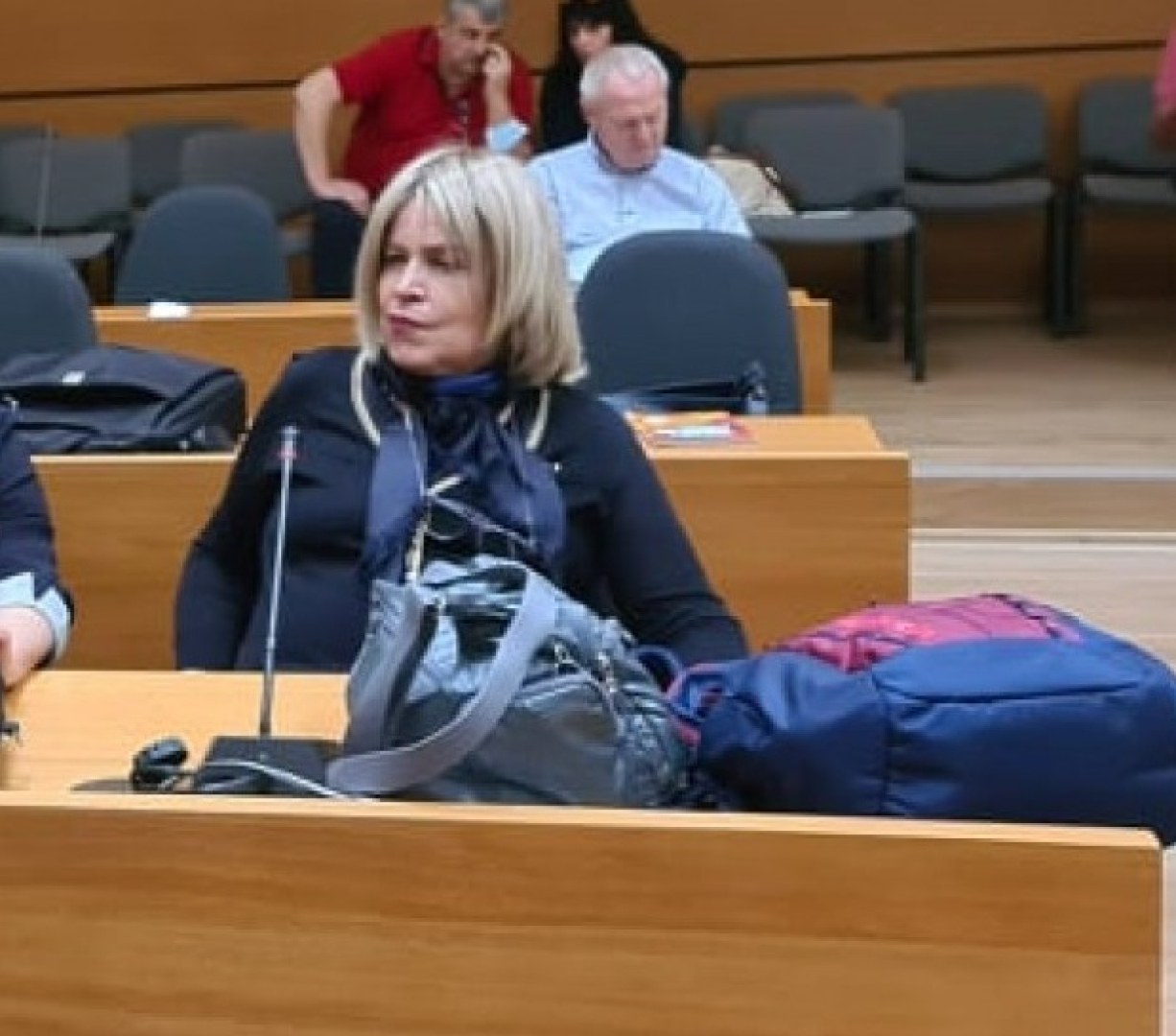 Напусна ни арх. Галина Пировска - автор на проекта за Източната порта - plovdivtime.bg